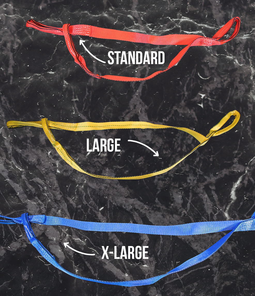 P.A.L. Strap Information | MME